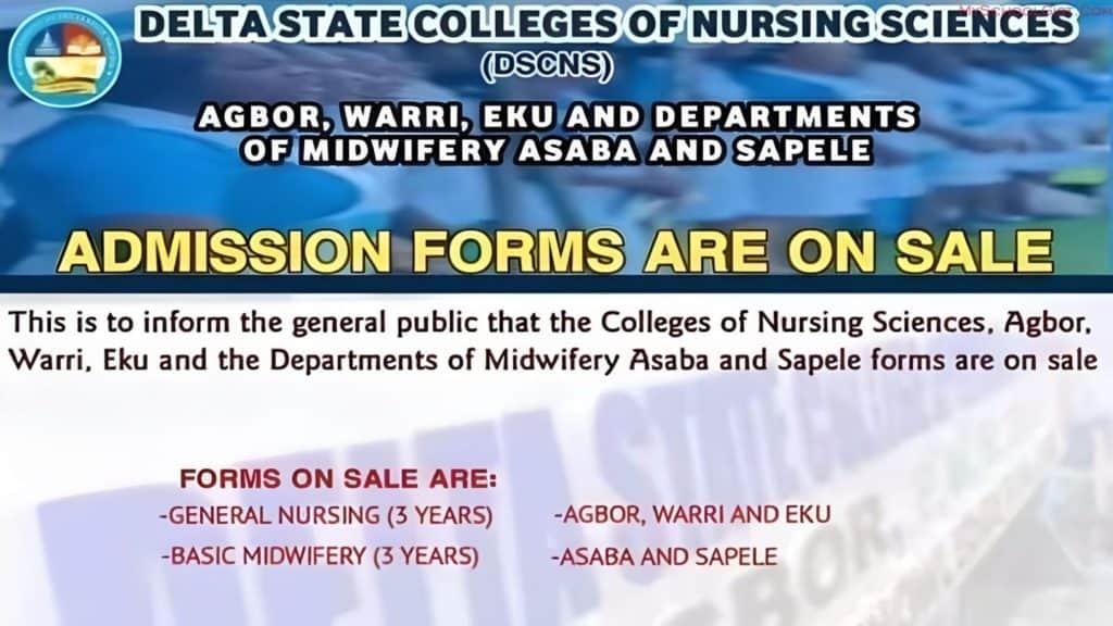 Delta State Schools of Nursing Admission Form 2023/2024 • MySchoolGist