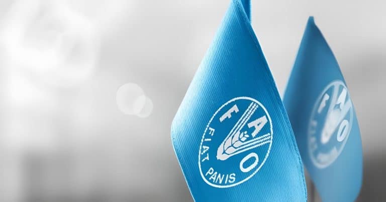 FAO–Hungarian Government Scholarship Programme 2024–2025