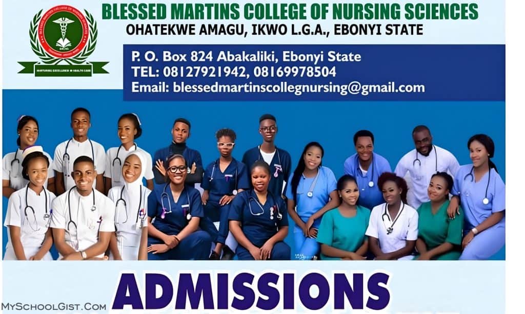 Blessed Martins College Of Nursing Admission Form 2024/2025