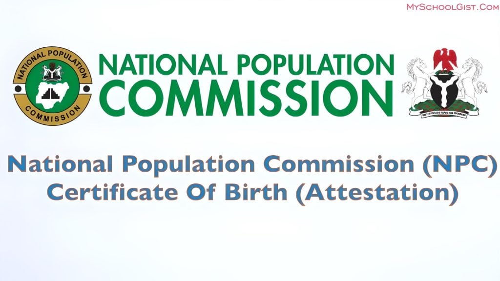 How to Obtain Your Birth Attestation Easily on the NPC Portal